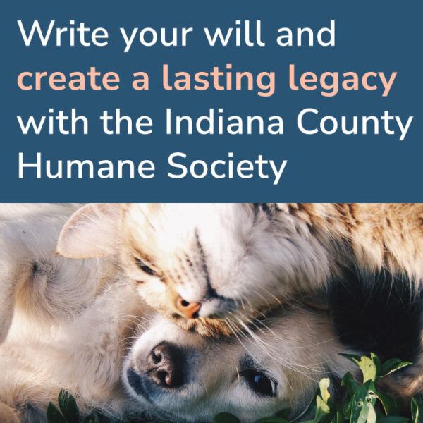 News and Events – Indiana County Humane Society